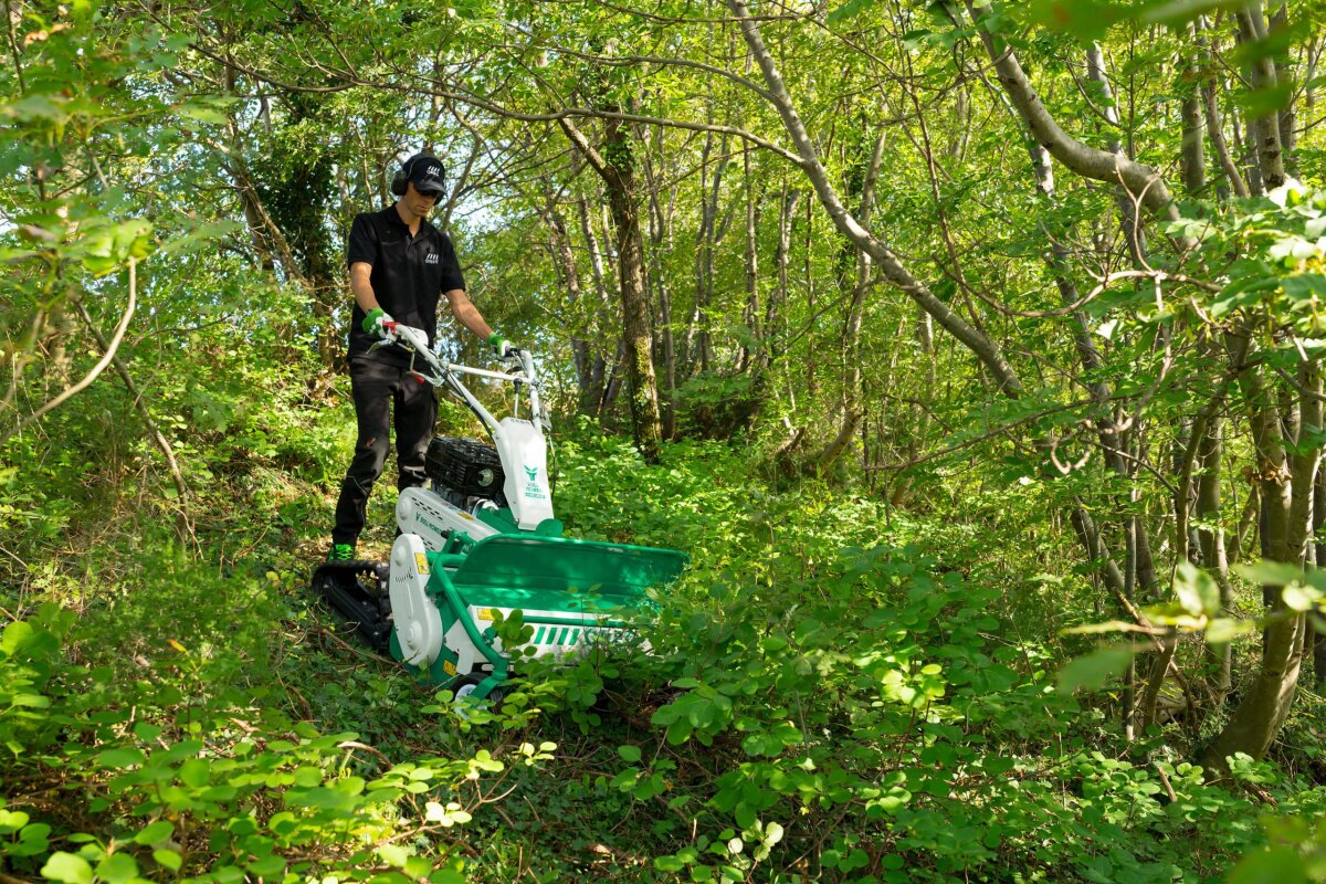 Orec Schlegelmulcher HRH 801 H bei Agrocenter Bozen online kaufen, 8. ...